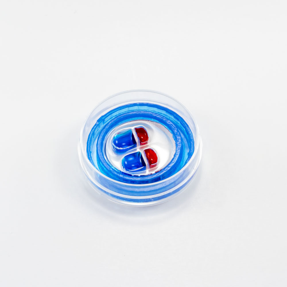 eNUVIO OMEGA 4-2mini Neuronal Co-Culture Device (8 experiments)