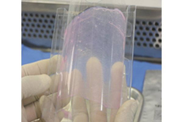 CenoMembrane - Freeze Dried by Cenobiologics Ltd