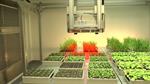 PlantScreen Robotic XYZ Systems