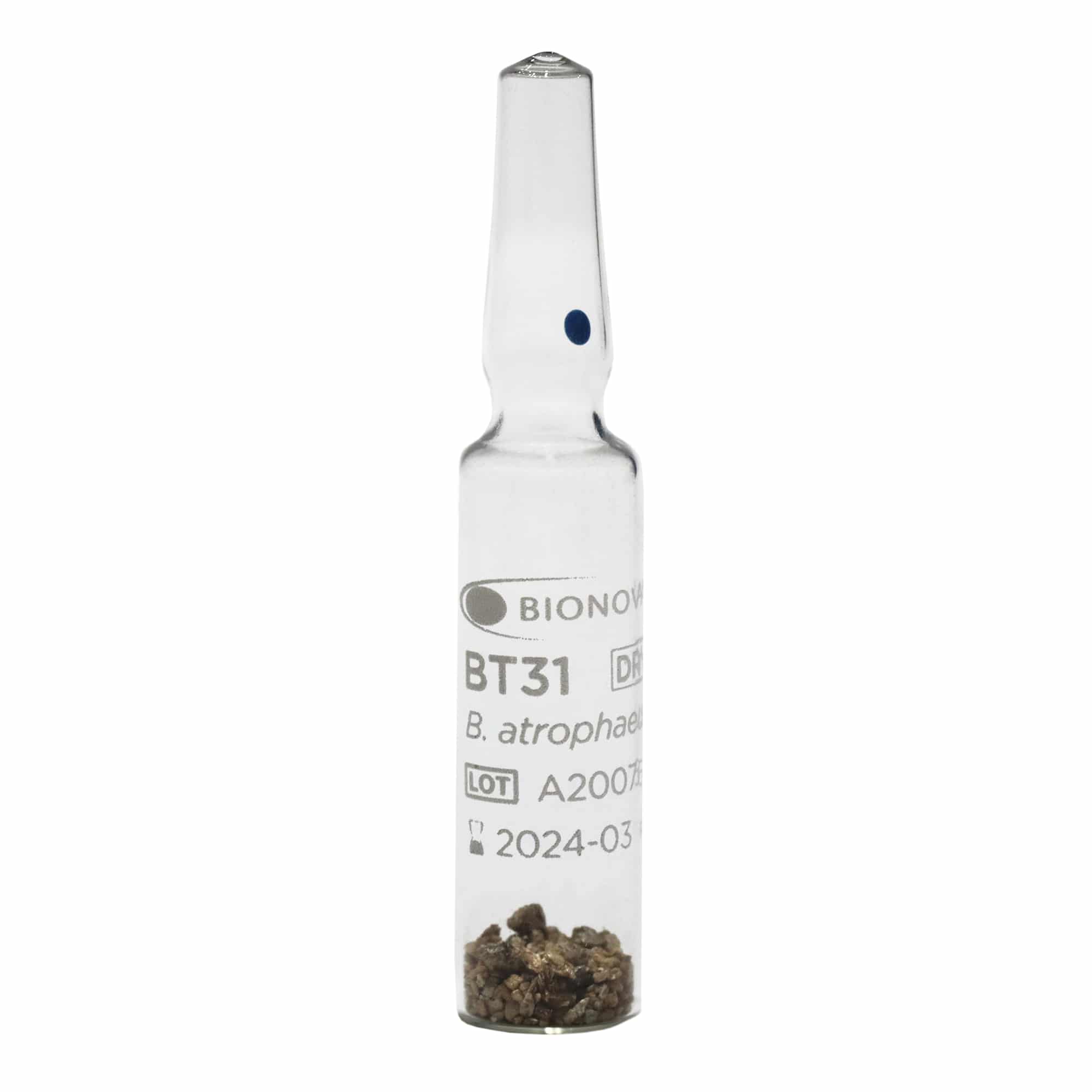 BT31 Spore Ampoule for Dry Heat Sterilization Processes