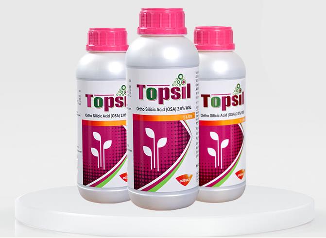 Specialty Topsil/Kazoo INTL Fertilizer