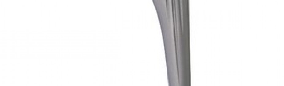 Euromed - Almond - Hip Implants - Modular Cemented Stem by ...