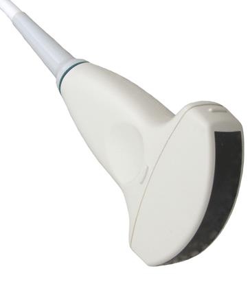 C60 probe - Ultrasound Probes - Abdominal and Obstetrics and ...