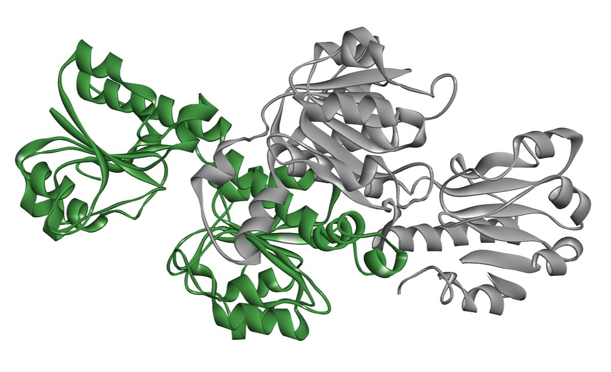 Codexis FDH-101 Formate Dehydrogenase