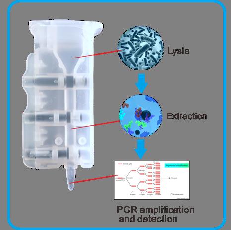Convergys - Covid-19 - POC RT-PCR COVID-19 Detection Kit by ...
