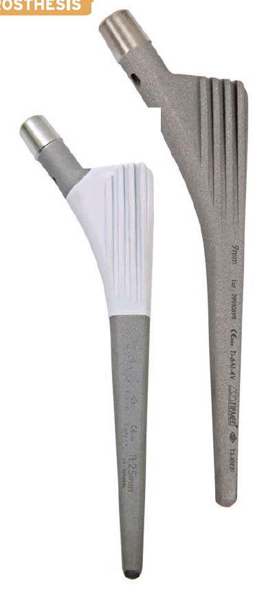 TIPMED - Hip Replacement Systems - Cementless Modular Straight Stem Hip ...