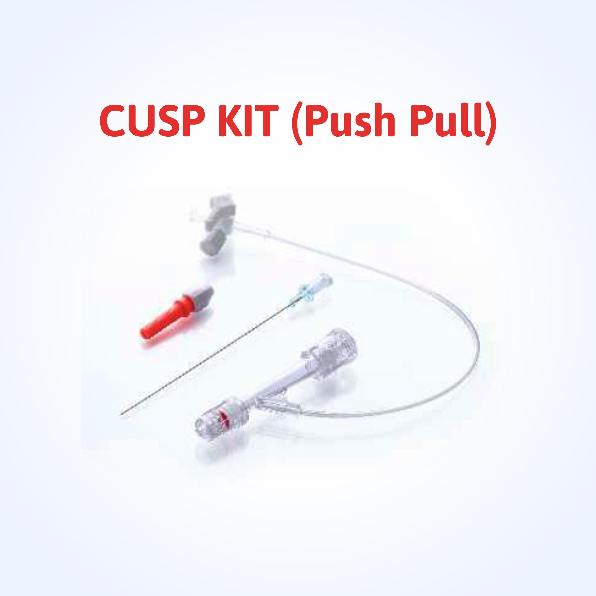 Cusp Kit (Push-Pull) - RELISYS - Coronary Vascular ...