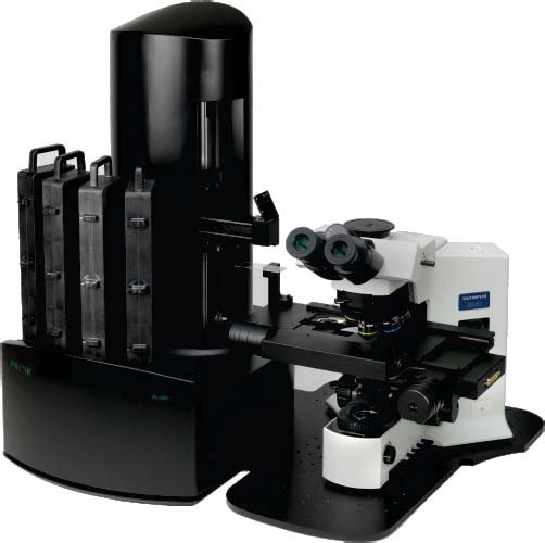 ARGENIT Automatic Metaphase Finder Systems