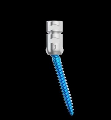 PROXiphias - Posterior Fixation System - Thoracolumbar ...