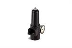SAM 2 Inch Eco PRV Pressure Release Valves
