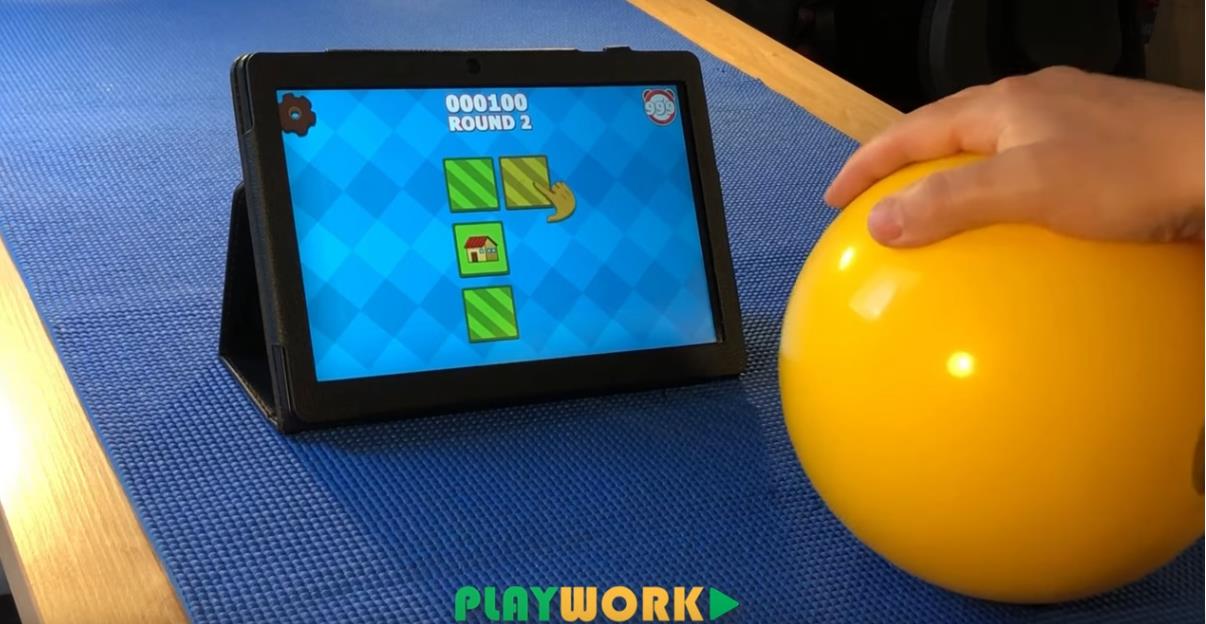 Playwork - Exercises - Cognitive Training Ball By Playwork Ltd