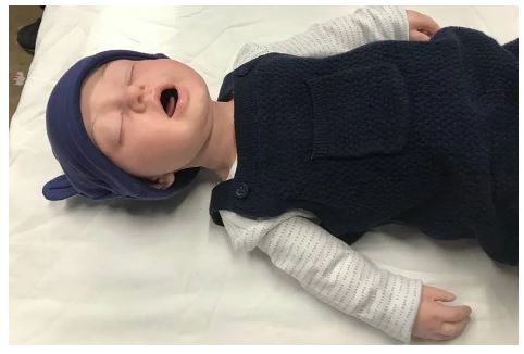 Lifecast - INFANT (3-6M) - Manikin by Lifecast Body ...