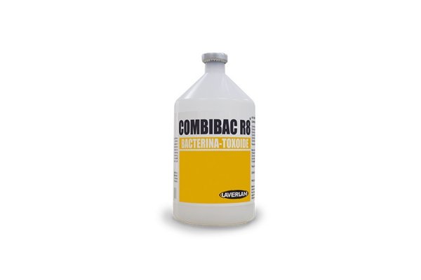 Calier - Combivac R8 - Inactivated Vaccine Adjuvanted With Aluminium ...