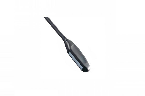 BCF L52x Rectal Transducer