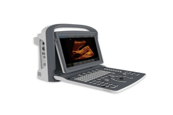 Veterinary Ultrasounds - ECO2 - Bovine Ultrasound Machines