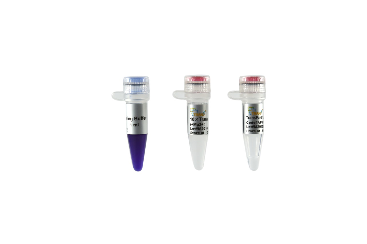 TransFast AP101-01 Taq DNA Polymerase