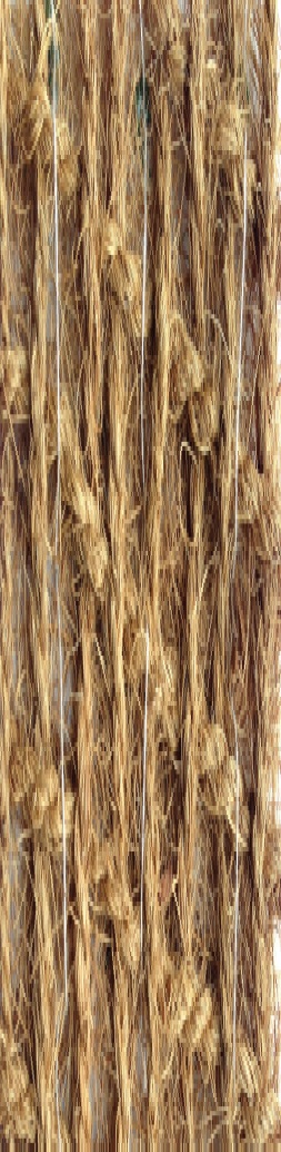 RollMax BioNet C700BN Biodegradable Erosion Control Blankets