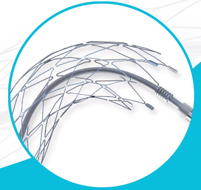 Neuroform EZ Stent System