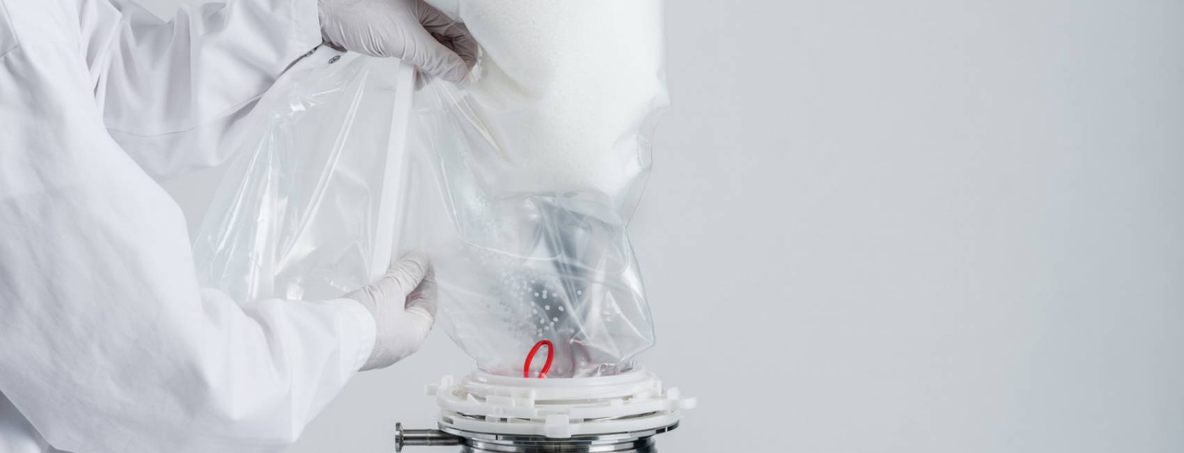 Safeport Transferbag | Lugaia AG Containment Solutions