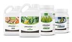 Rhizolizer Supercharges Nutrient Uptake for Row Crops