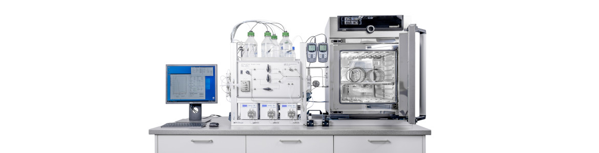 PSL Systemtechnik Differential Dynamic Scale Loop