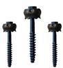Cerebro Facet Screw System