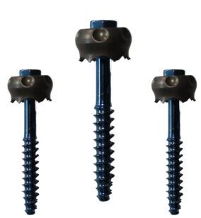 Cerebro Facet Screw System
