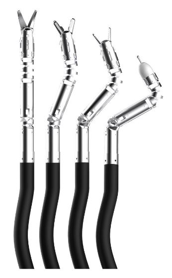 Endoquest Robotics Flexible Robotic Surgical System For Minimally ...