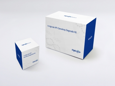 Hybribio High-Risk HPV Genoarray Diagnostic Kit For HPV Genotypes Detection