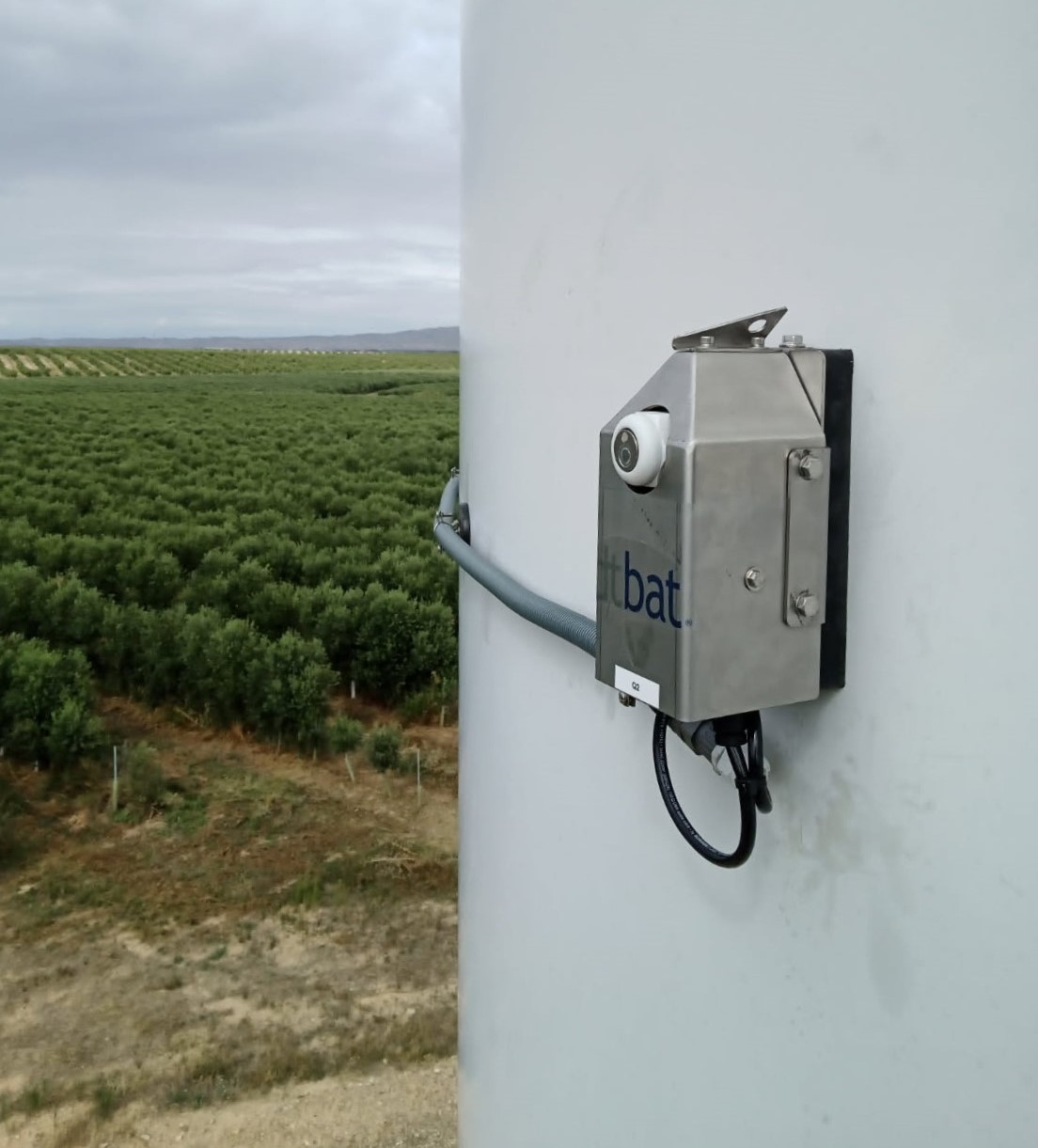 DTBat Q2/Q3 AI-based Onshore & Offshore Bat Activity Monitoring ...