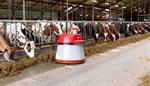 Lely Juno Automated Cow Feed Pusher System
