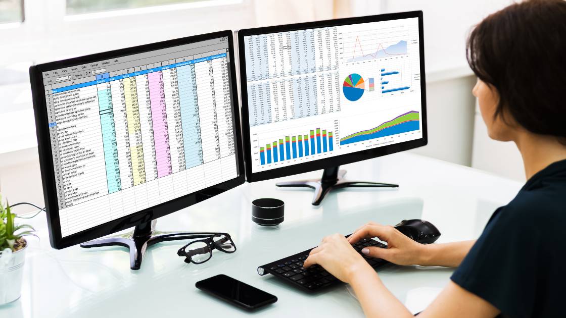 Spreadsheets vs Environmental Data Management Software (EDMS): A ...