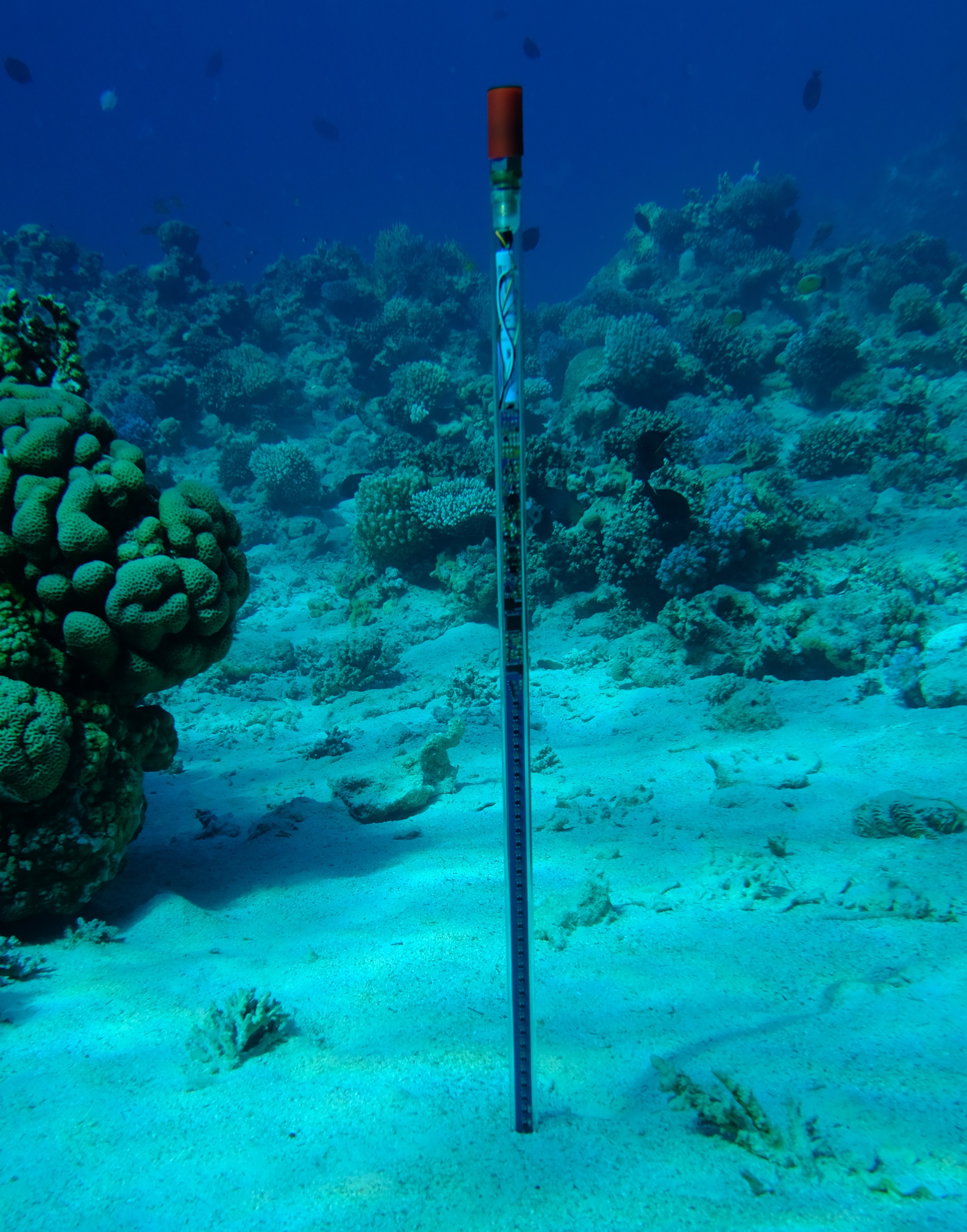 SediMeter™ SM4 Sediment Level Sensor and Free-Fall Penetrometer