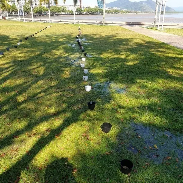 ICT Plant Growth Influences and Indicators