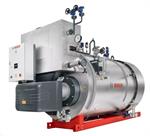 Bosch CSB Ultra-Compact Universal Steam Boiler