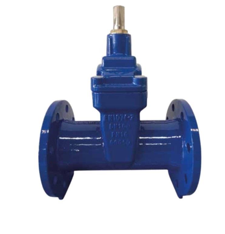 CTV-Armaturen Type 01-F5 Resilient Seated Wedge Bare Shaft Gate Valve