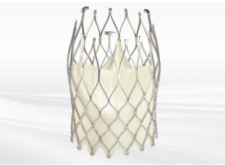 ALLEGRA THV Transcatheter Heart Valve for Aortic Stenosis