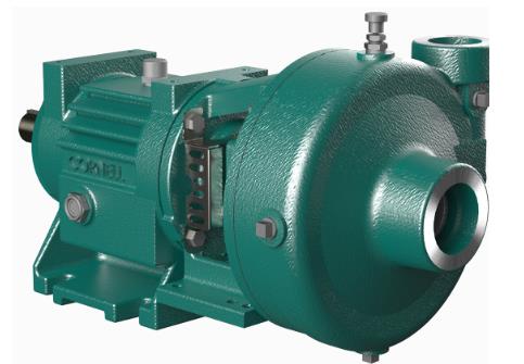 Cornell 1.5WH-F Clear Liquid Pump