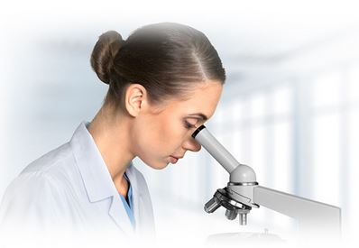 Provantis Integrated Preclinical Windows-Based Software