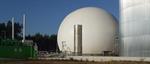Methane and Carbon Dioxide Sensing for Biogas Applications - Energy ...