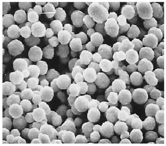 Cermet PD 200S Powder