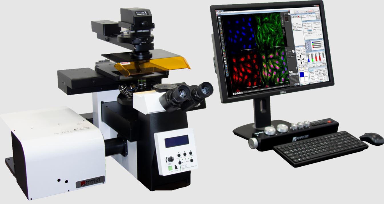 K1-Fluo Confocal Fluorescence Laser Scanning Microscopy | Nanoscope ...