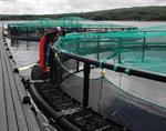 Aquaflex 250 Robust and Versatile Fish Farm Pens