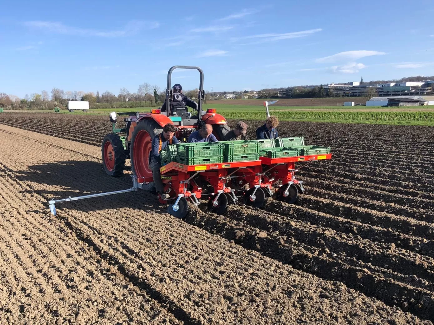 Checchi e Magli F300L Potato Planter