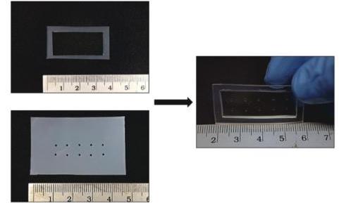 Creative-Bioarray Cell Using Stencil Traps