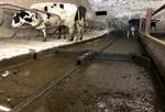 Storth Hydraulic Slurry Scraper System