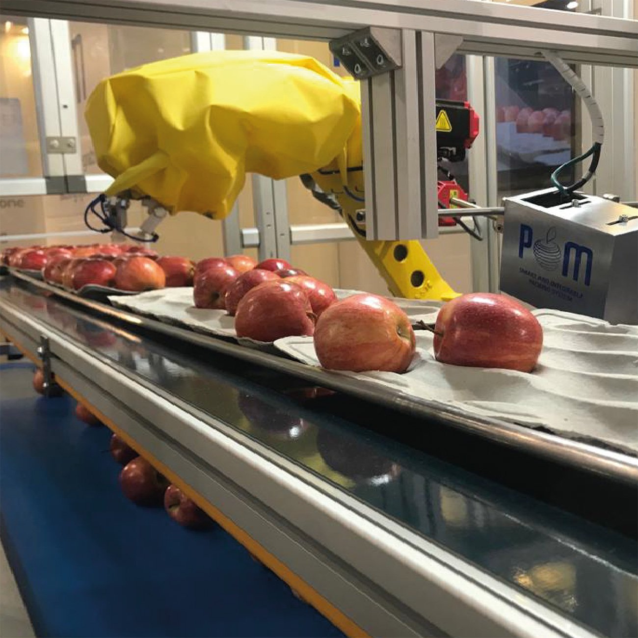 EPF POM Intelligent and Modular Fruit Packaging System