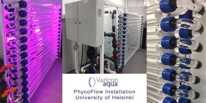 Phyco-Flow Photobioreactor Installed at the University of Helsinki ...