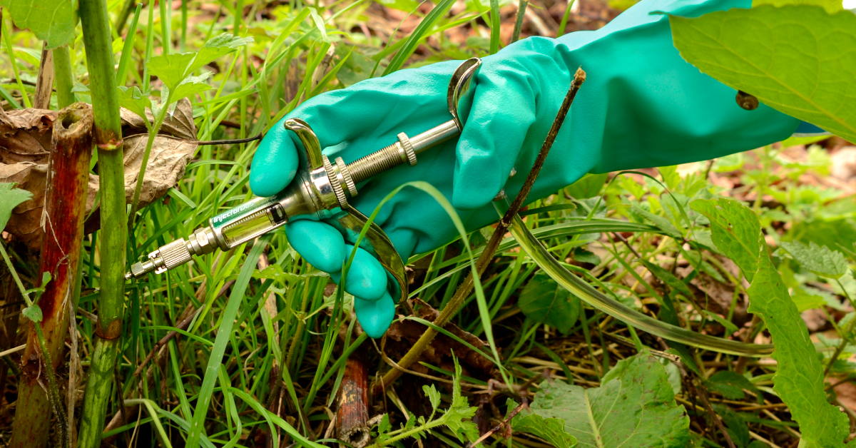 InjectorDos Pro A Metered Dose Injection Applicator for Eliminating ...