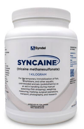 Syndel Syncaine MS-222 Fish Anesthetic Products